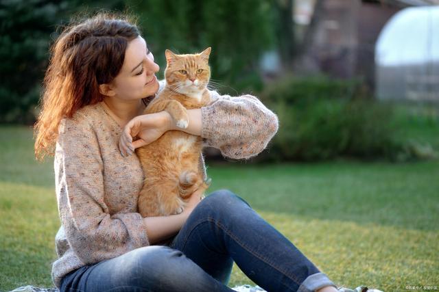 🐱The Enigmatic Charm of Cats: Your Ultimate Guide to Feline Companions ...